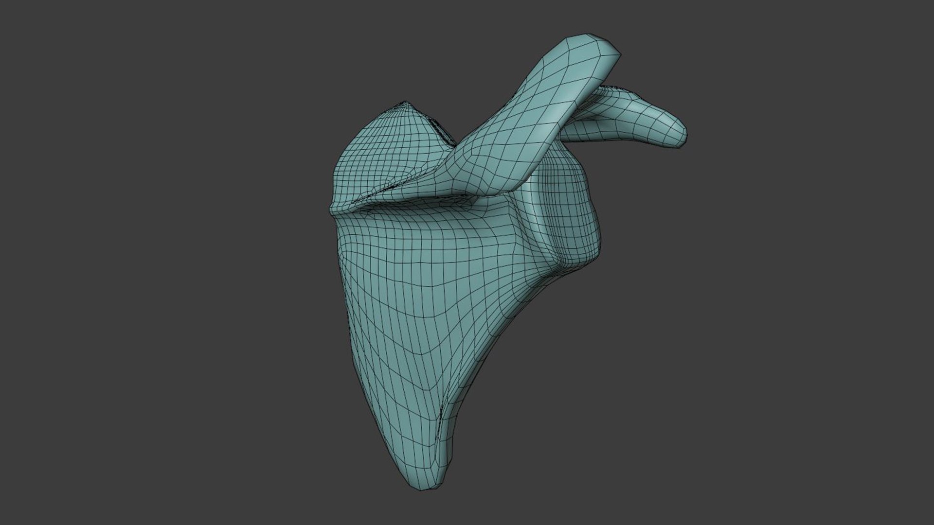 3D Scapula - TurboSquid 1699379