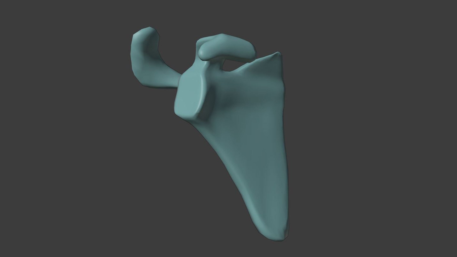 3D Scapula - TurboSquid 1699379