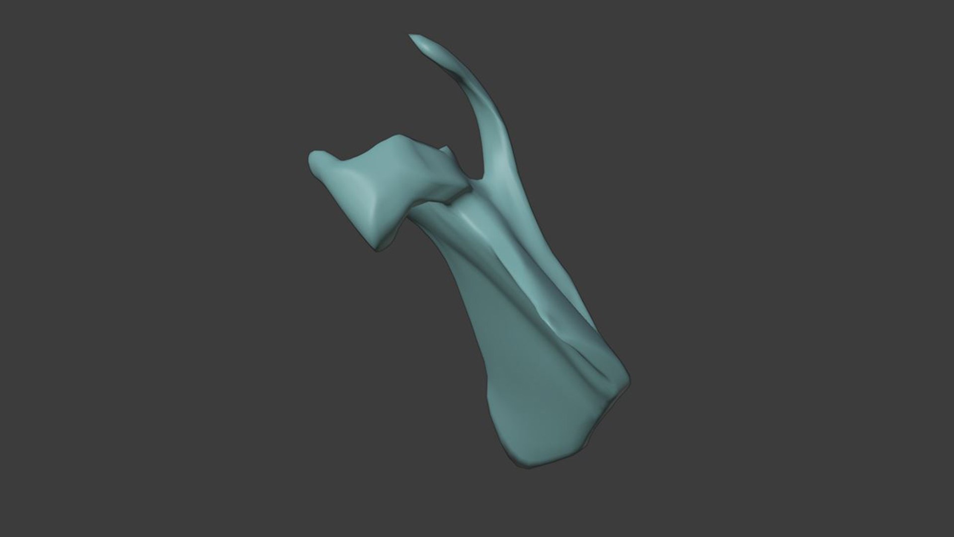 3D Scapula - TurboSquid 1699379