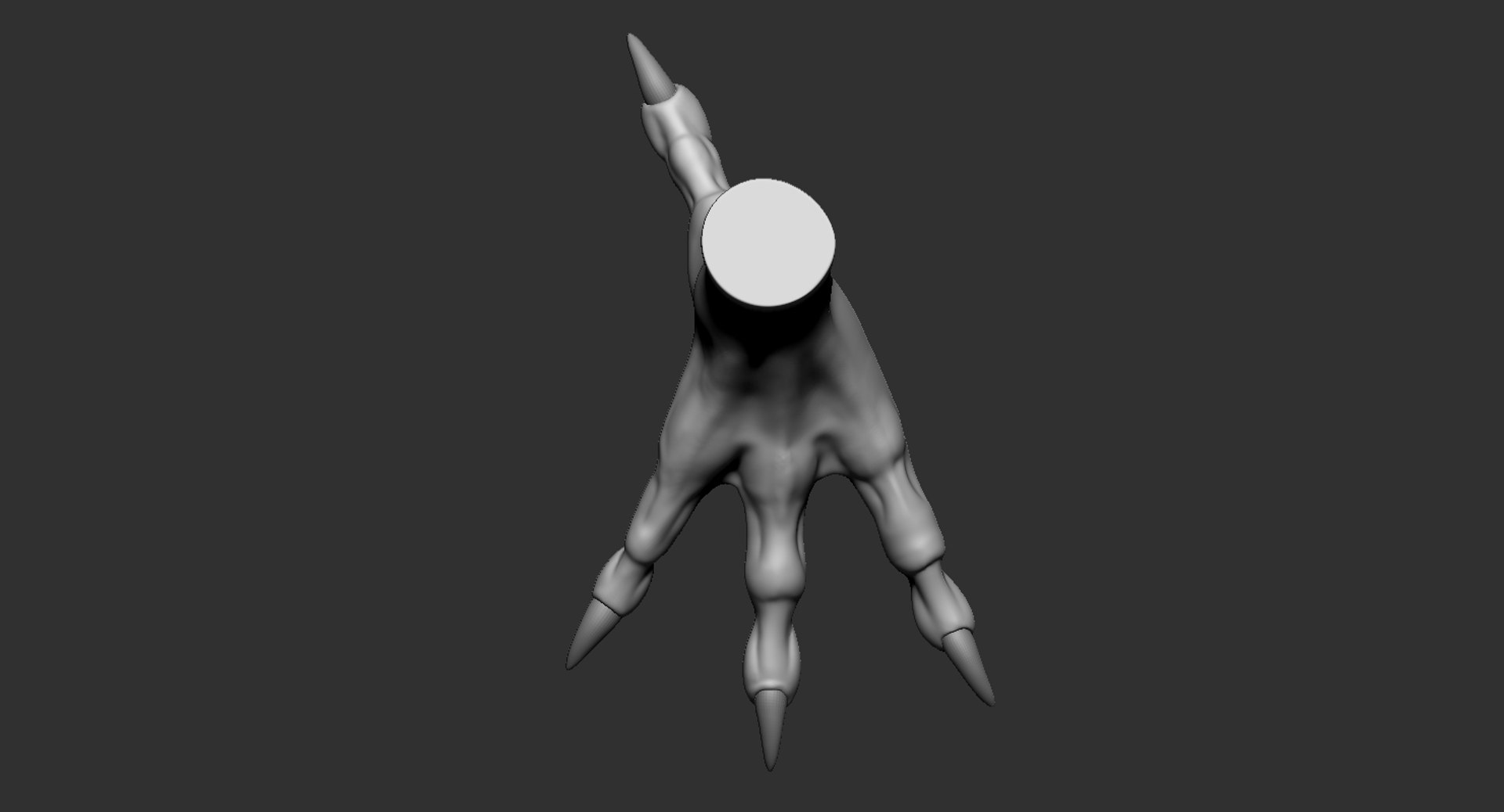 Dragon Claw Concept Creature 3D Model - TurboSquid 1440017