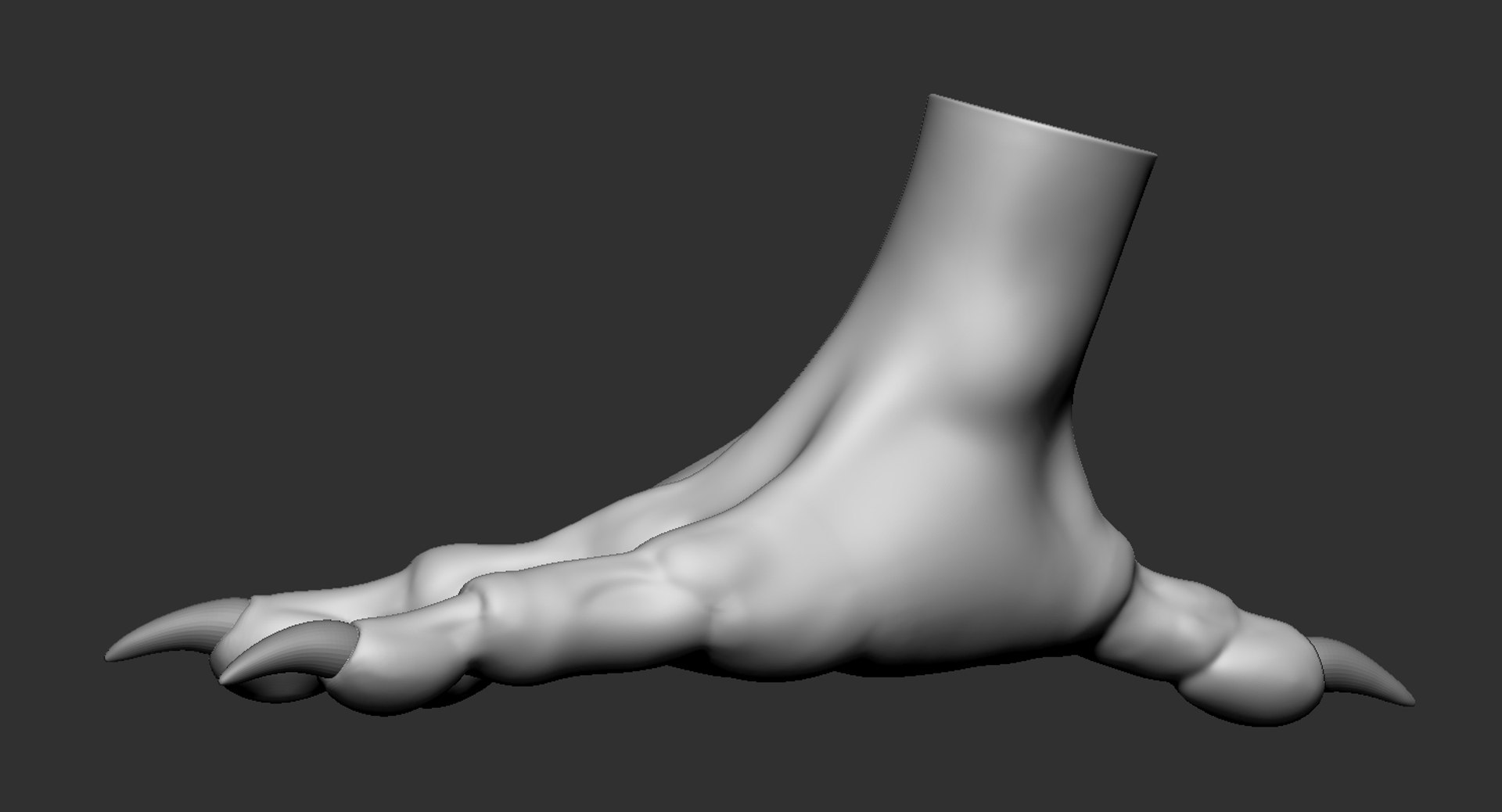 Dragon Claw Concept Creature 3D Model - TurboSquid 1440017