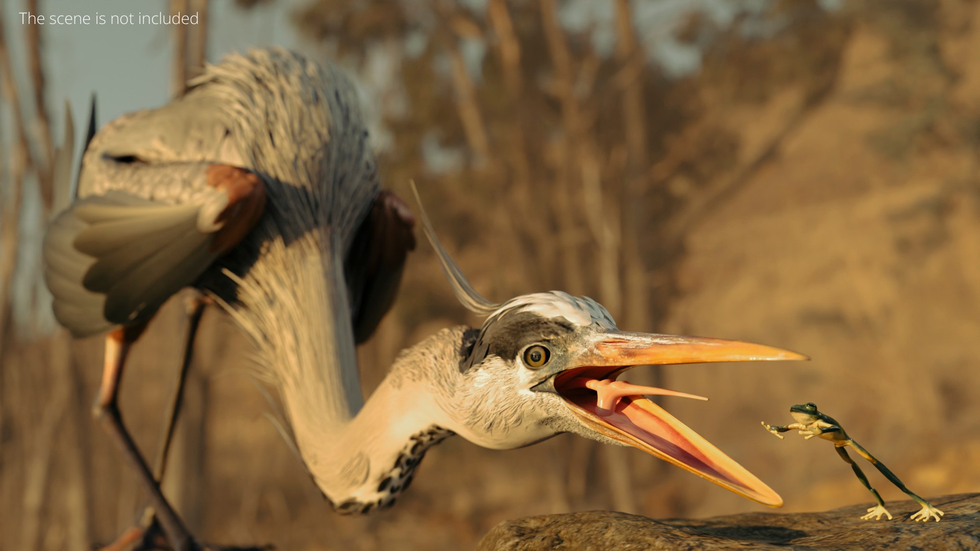 Great Blue Heron Eats Frog Rigged For Blender 3D - TurboSquid 2503624