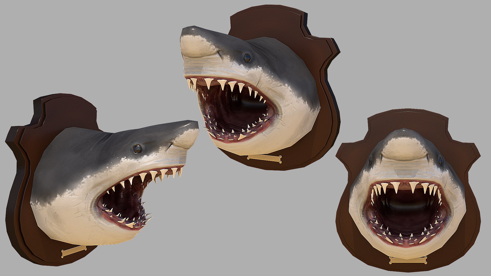 Shark Head Trophy 3D Model - TurboSquid 2054776