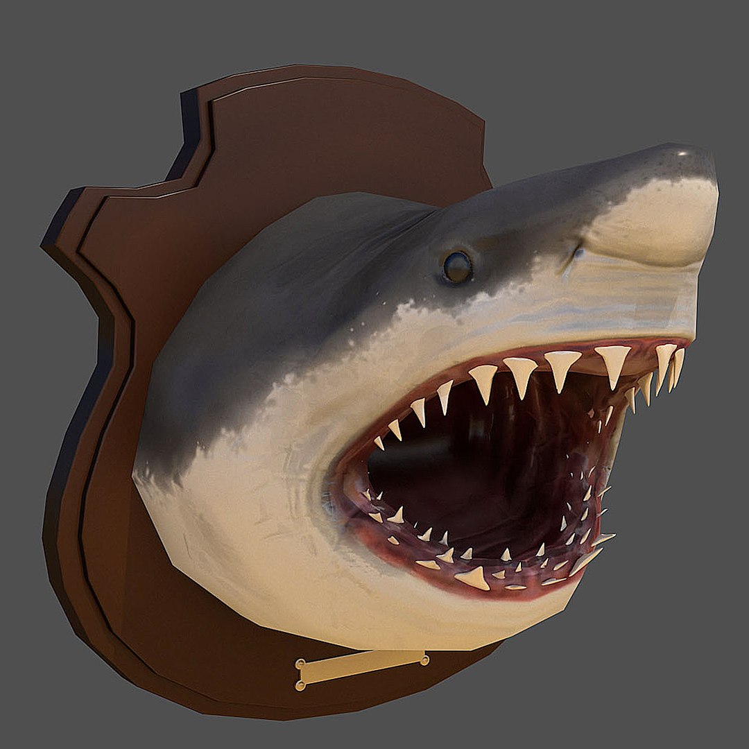 Shark Head Trophy 3D Model - TurboSquid 2054776