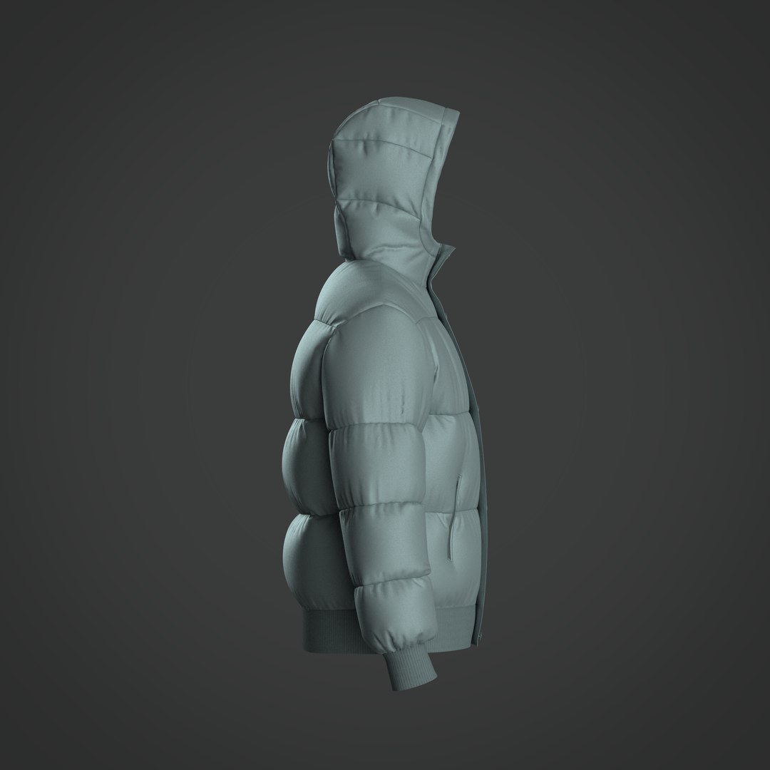 3D Model Mens Puffer Jacket - TurboSquid 2154966