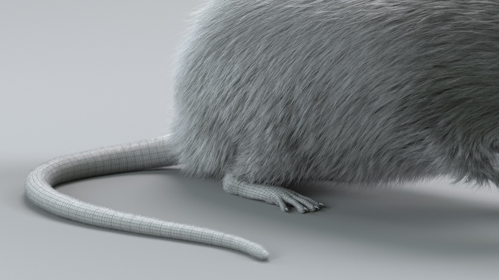 3D Model Decorative Rat Rigged Xgen - TurboSquid 2371987