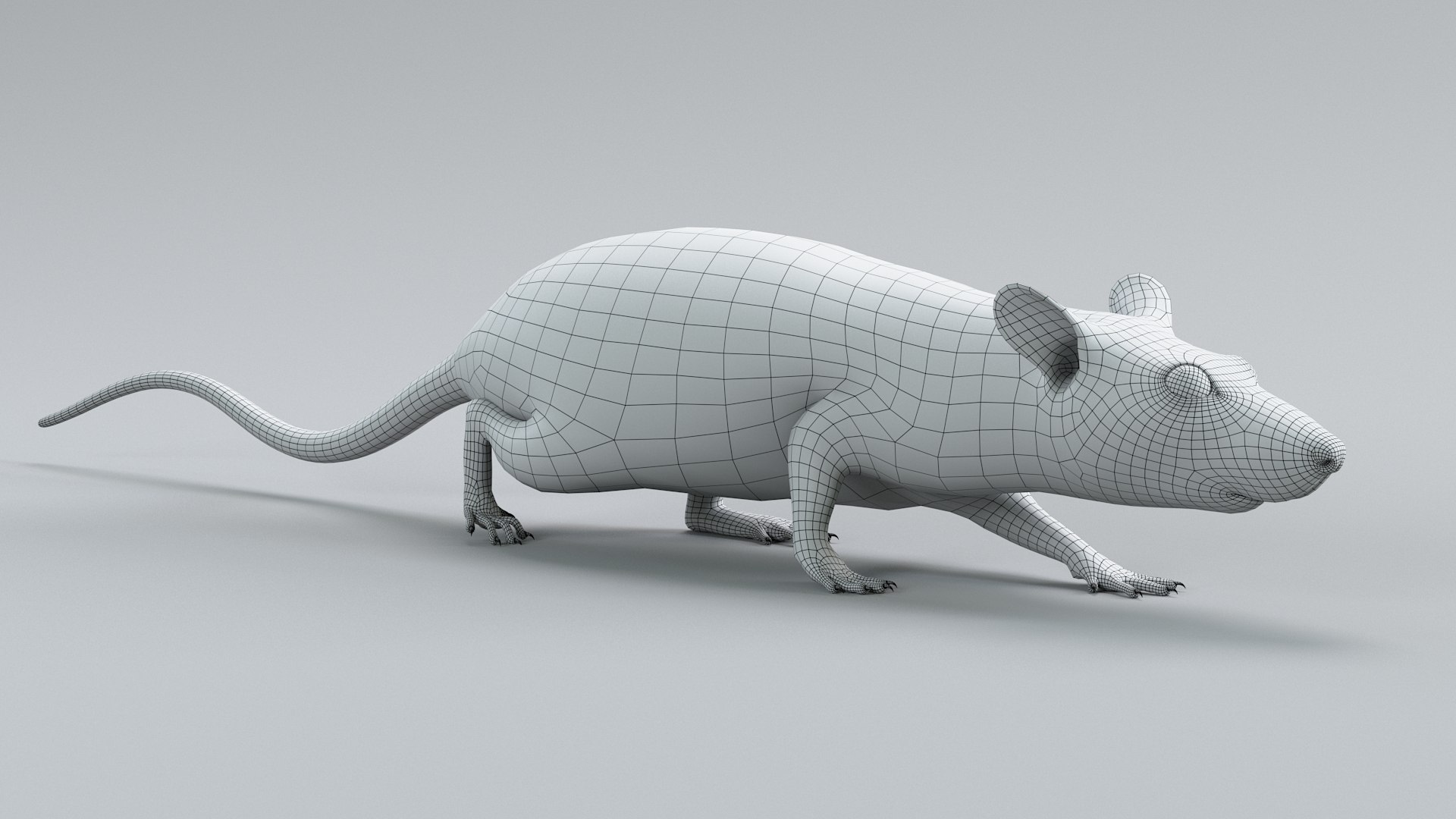 3D Model Decorative Rat Rigged Xgen - TurboSquid 2371987