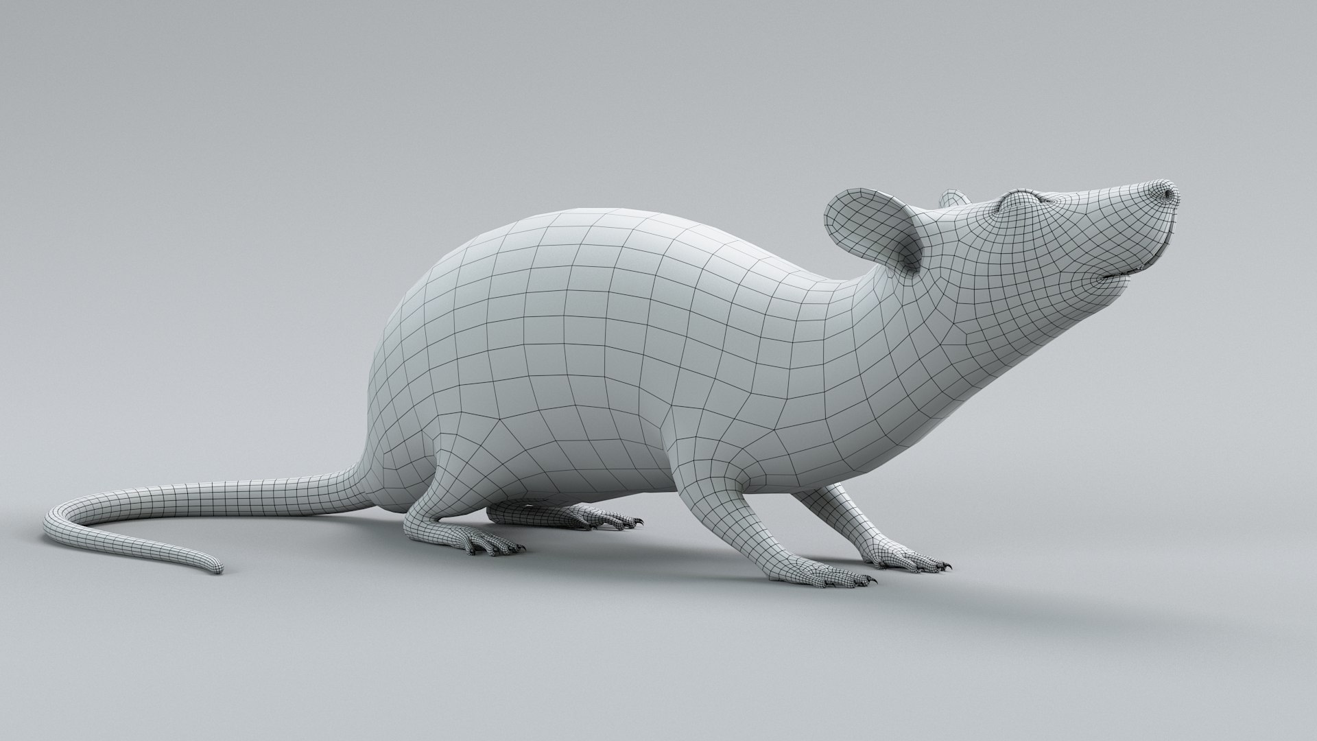 3D Model Decorative Rat Rigged Xgen - TurboSquid 2371987