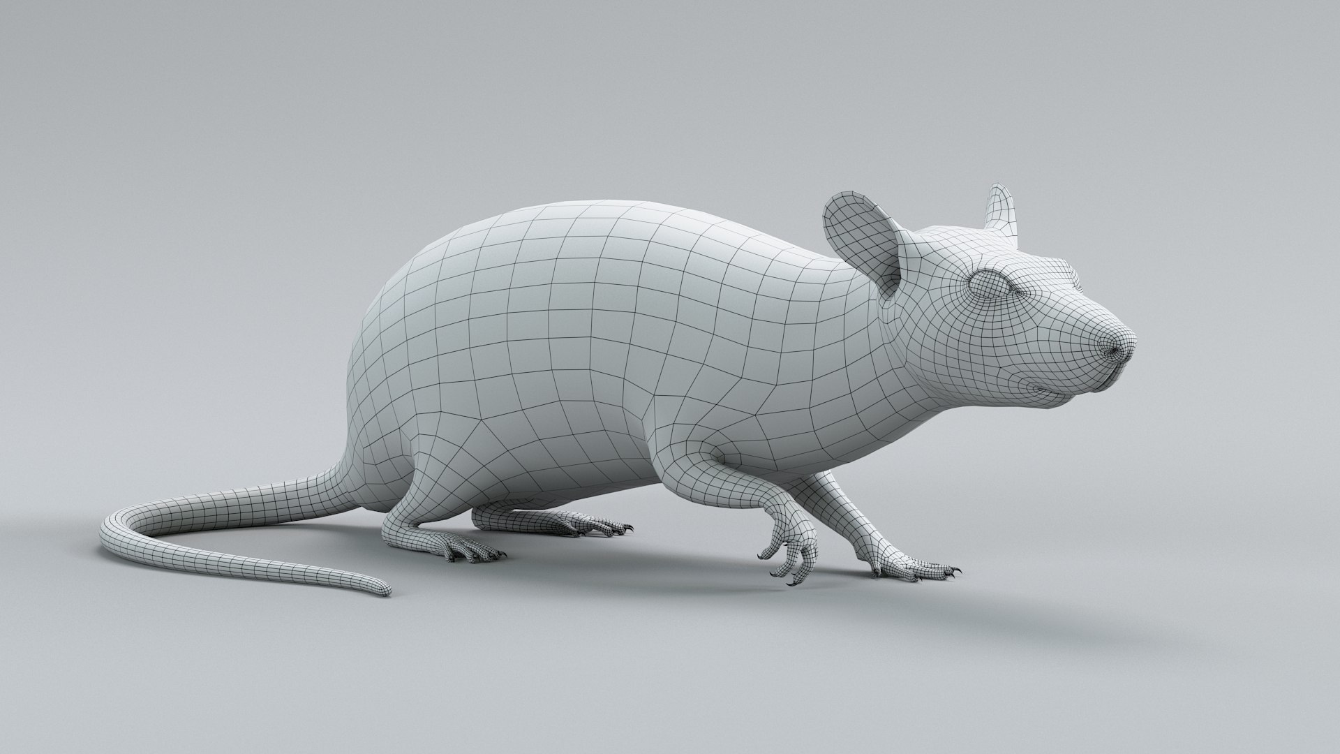 3D Model Decorative Rat Rigged Xgen - TurboSquid 2371987