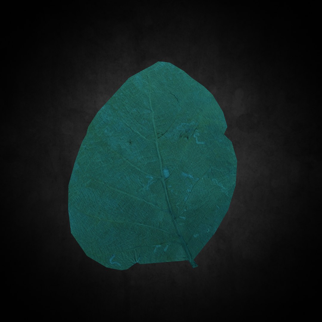 Low Poly Leaf 034 3D Model - TurboSquid 1852385