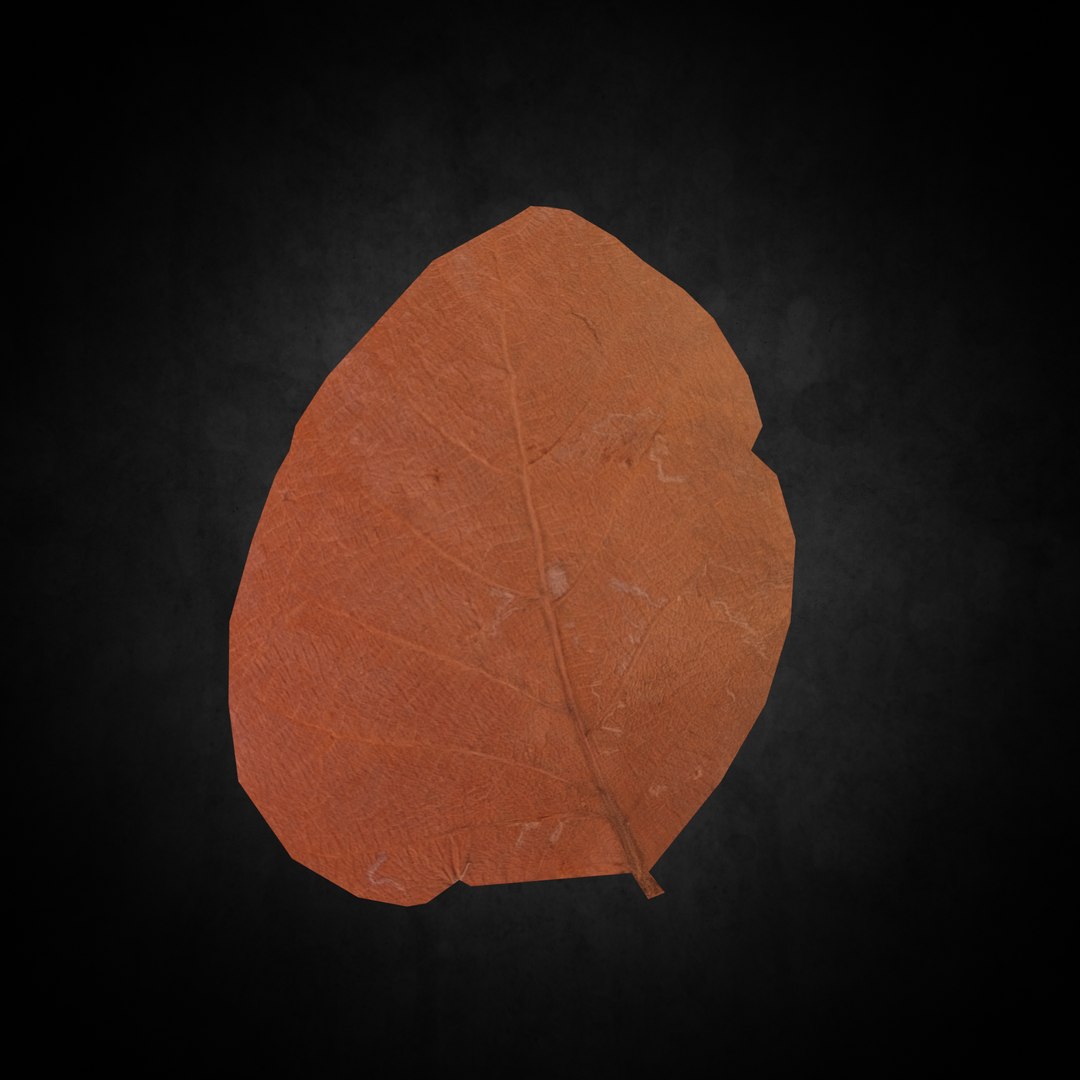 Low Poly Leaf 034 3D Model - TurboSquid 1852385