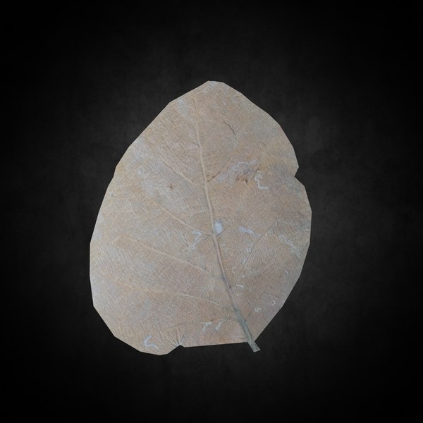 Low Poly Leaf 034 3D model - TurboSquid 1852385