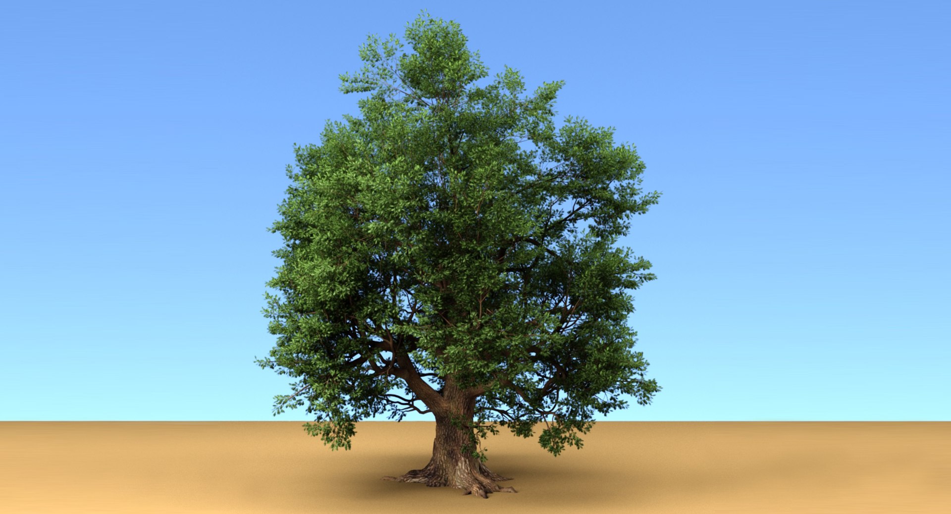 3D model oak tree - TurboSquid 1425684
