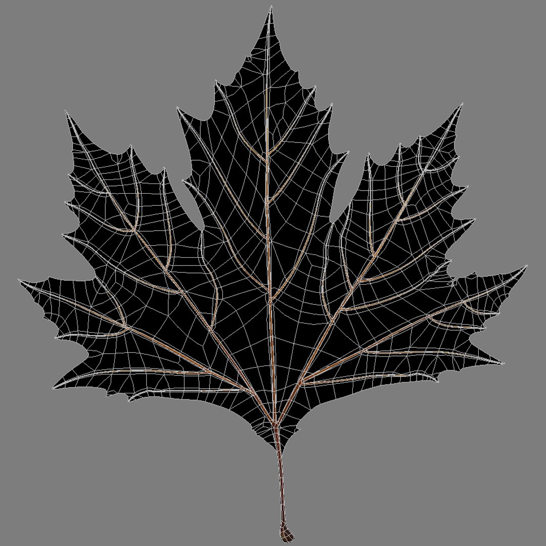 3d Max Realistic Autumn Maple Leaf