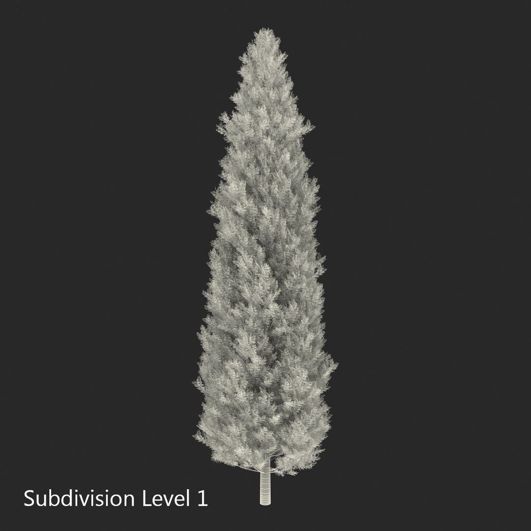3d cypress tree