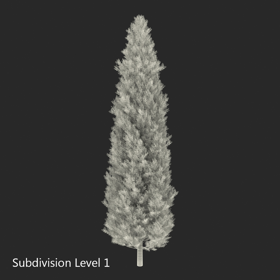 3d cypress tree