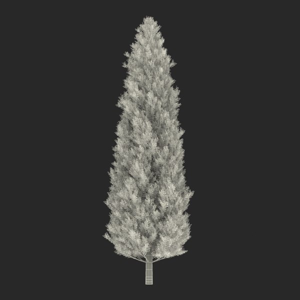 3d cypress tree