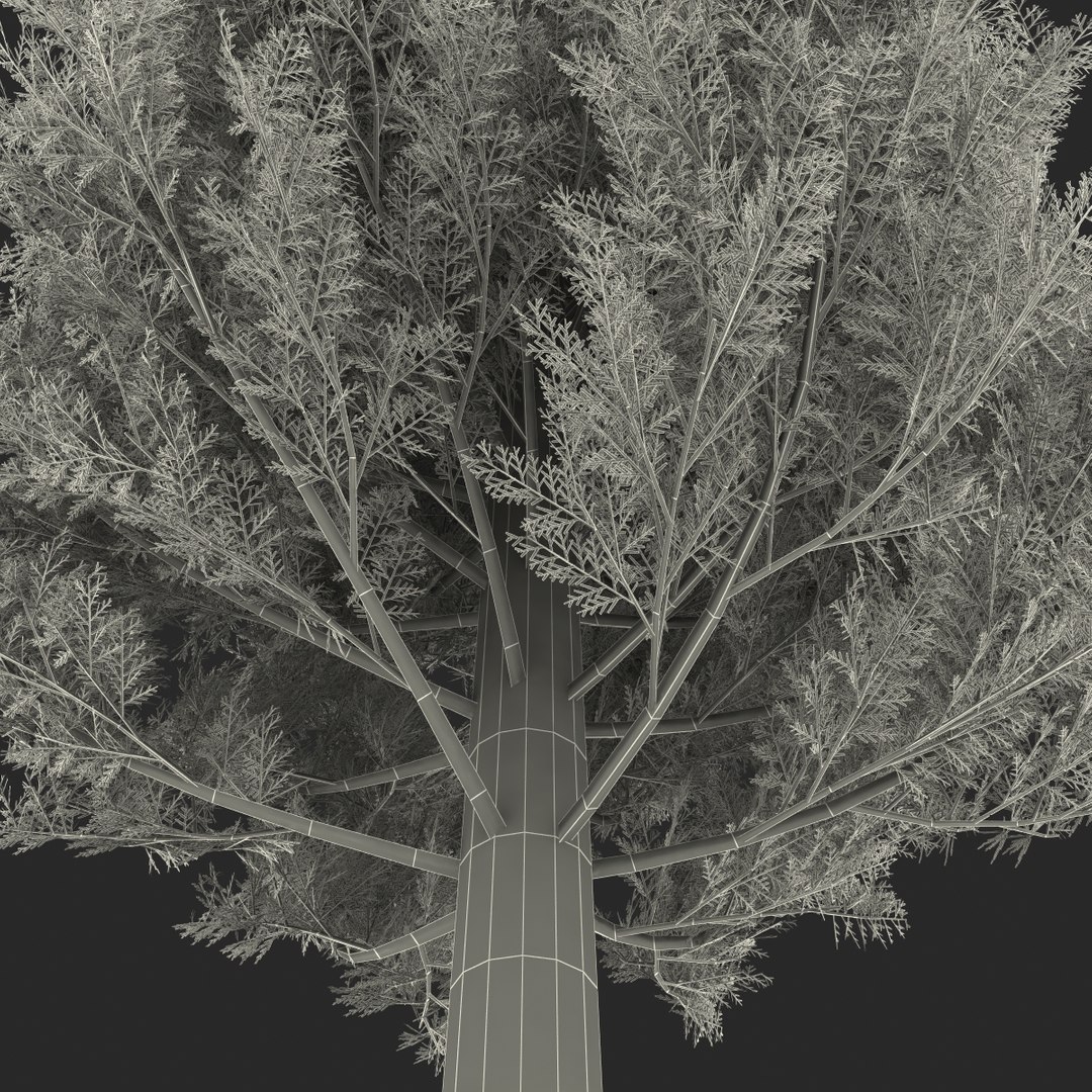 3d cypress tree