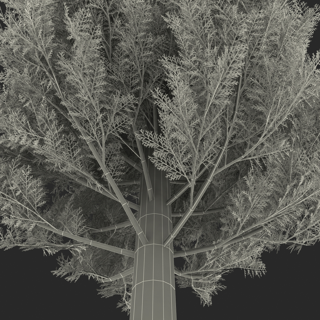 3d cypress tree