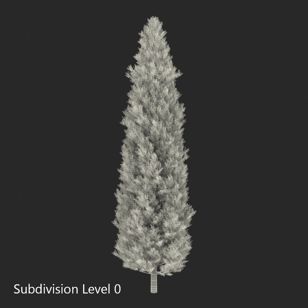 3d cypress tree