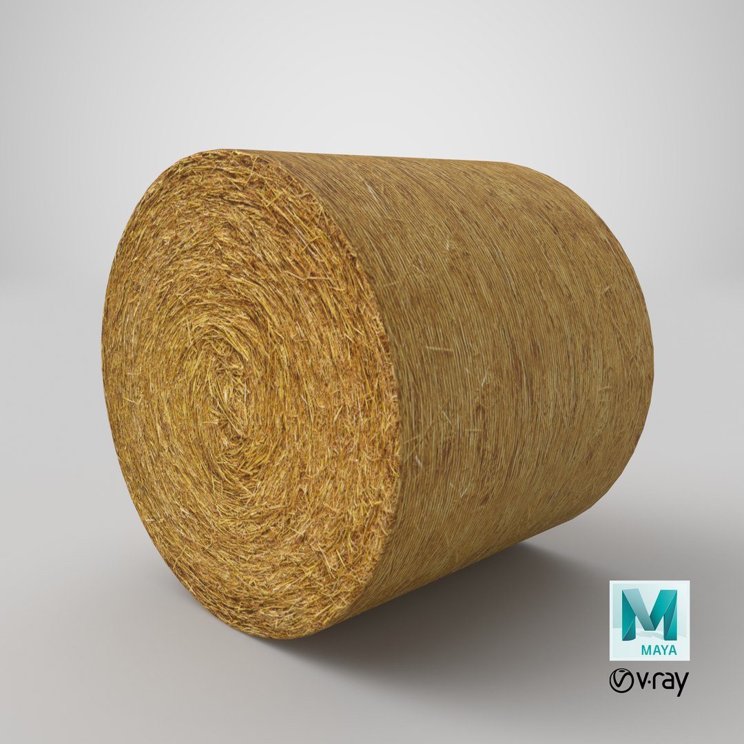 3D Hay Bale Model - TurboSquid 1415541