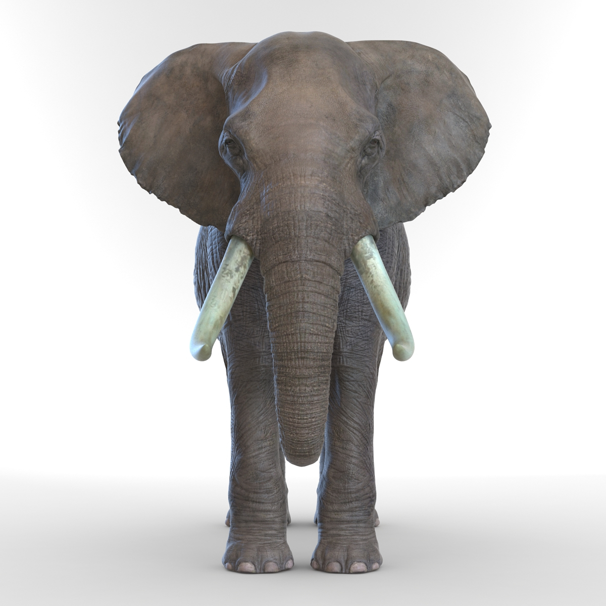 3d elephant rigged model