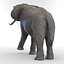 3d elephant rigged model