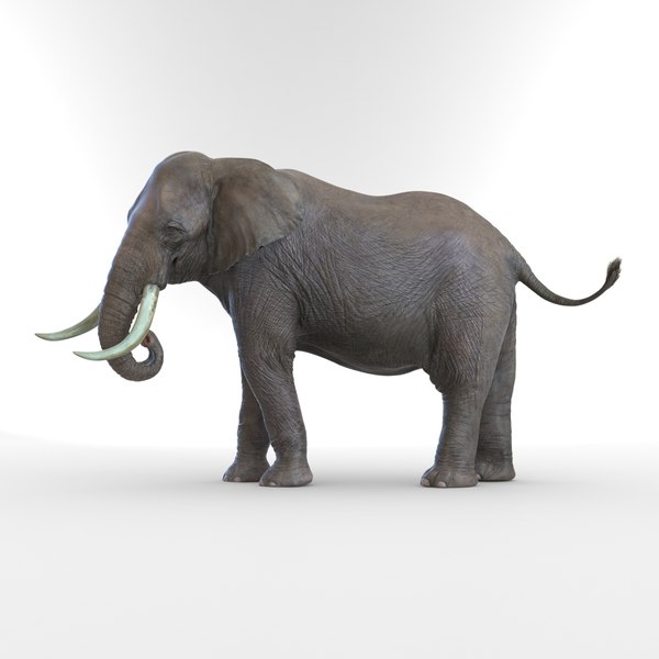 3d elephant rigged model
