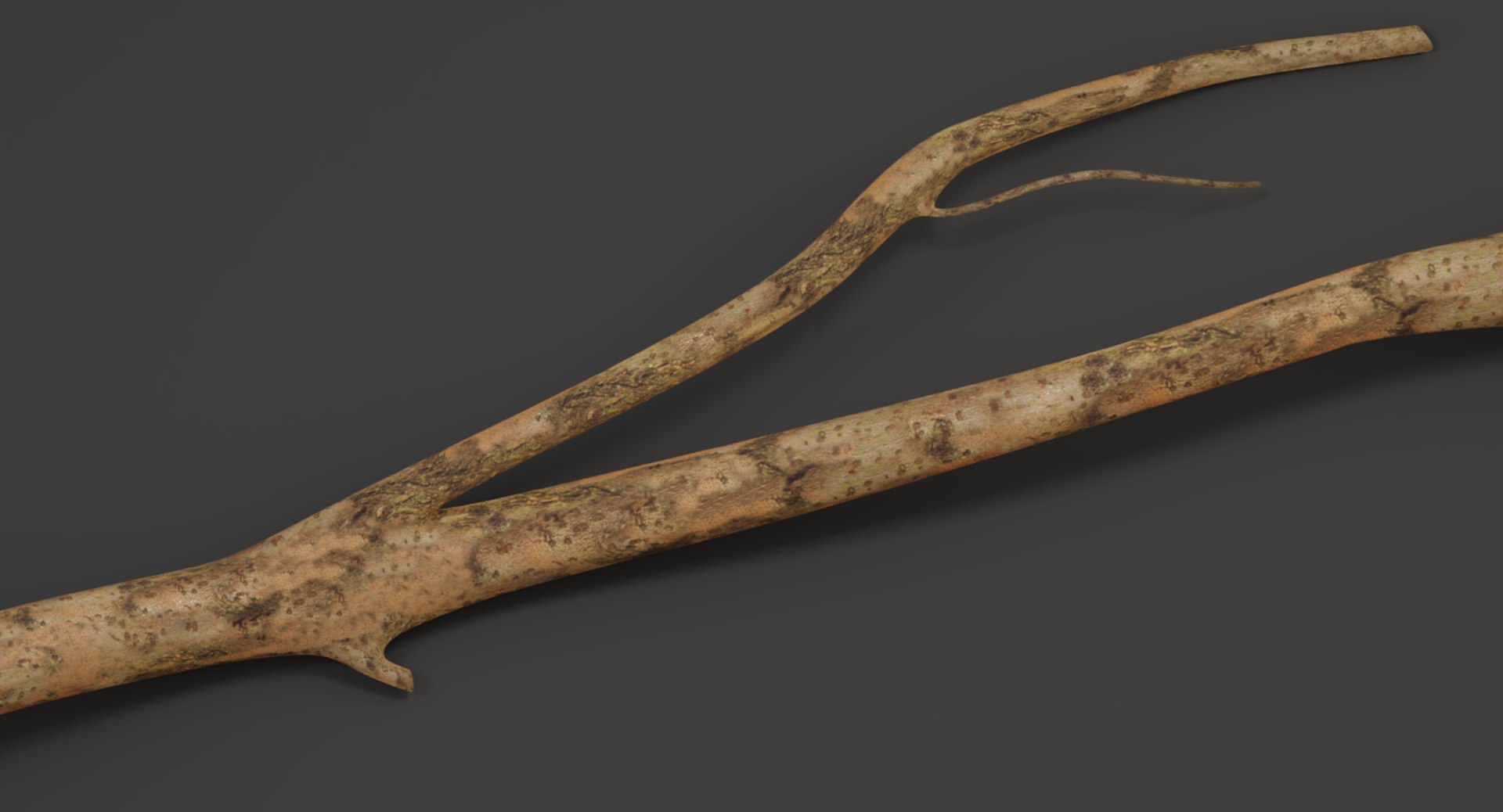 3D Branch - TurboSquid 1263587