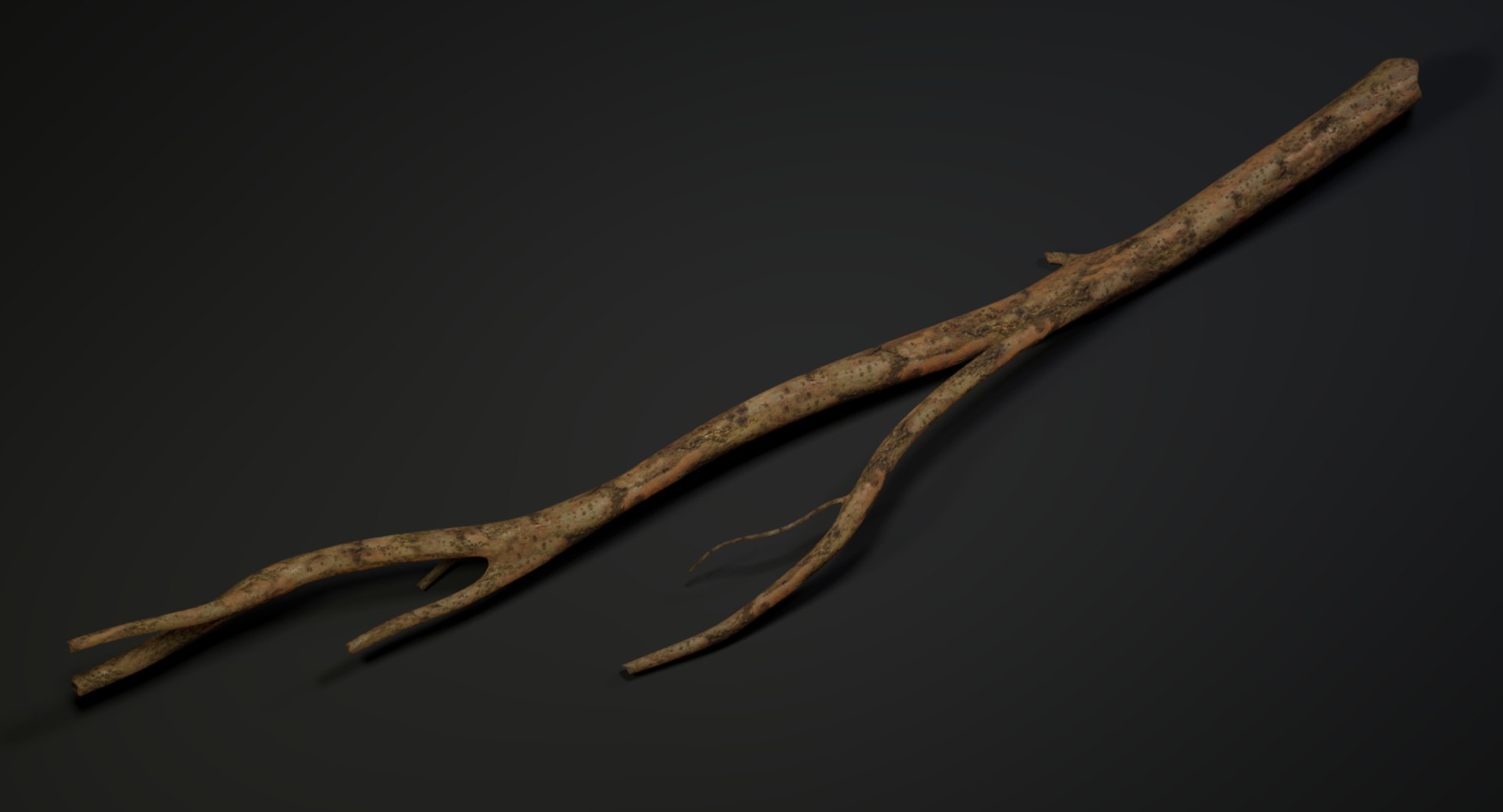 3D Branch - TurboSquid 1263587