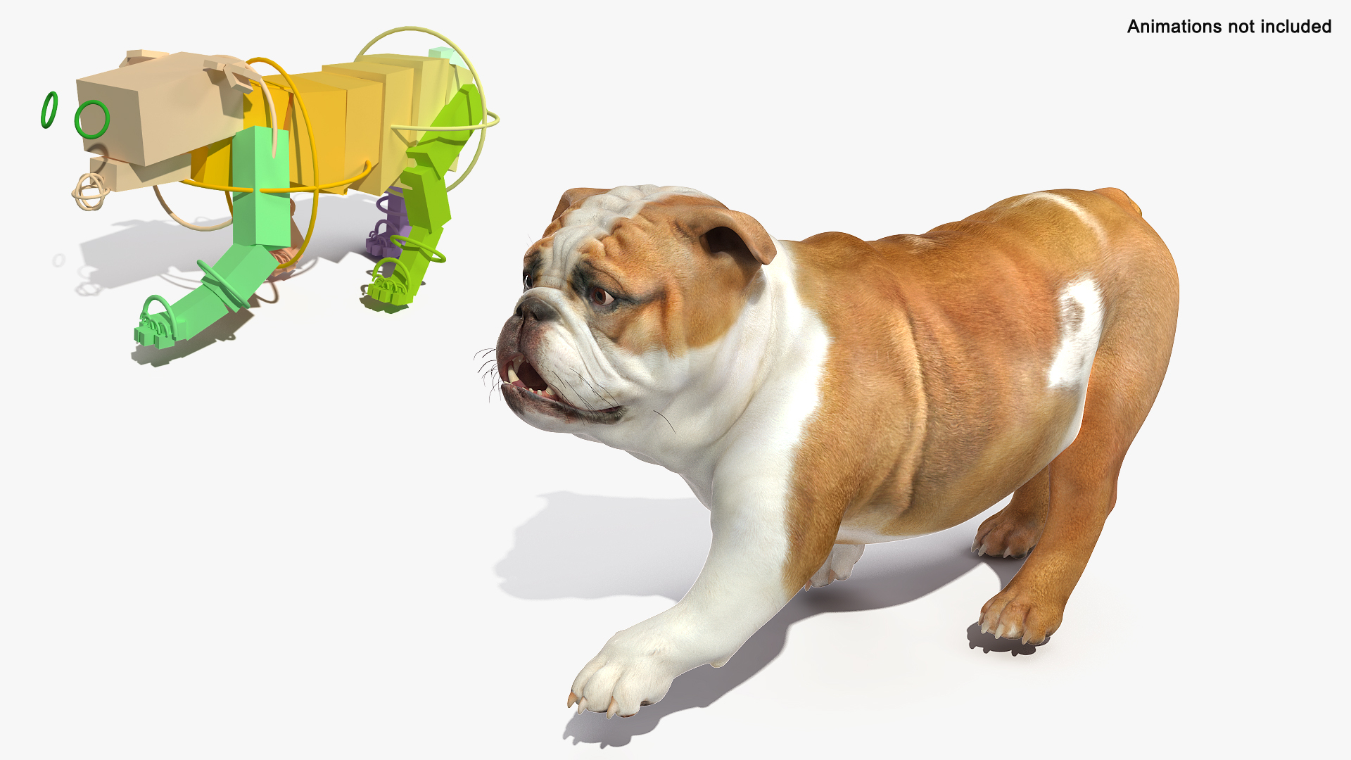 Bulldog Rigged 3D Model - TurboSquid 2177606