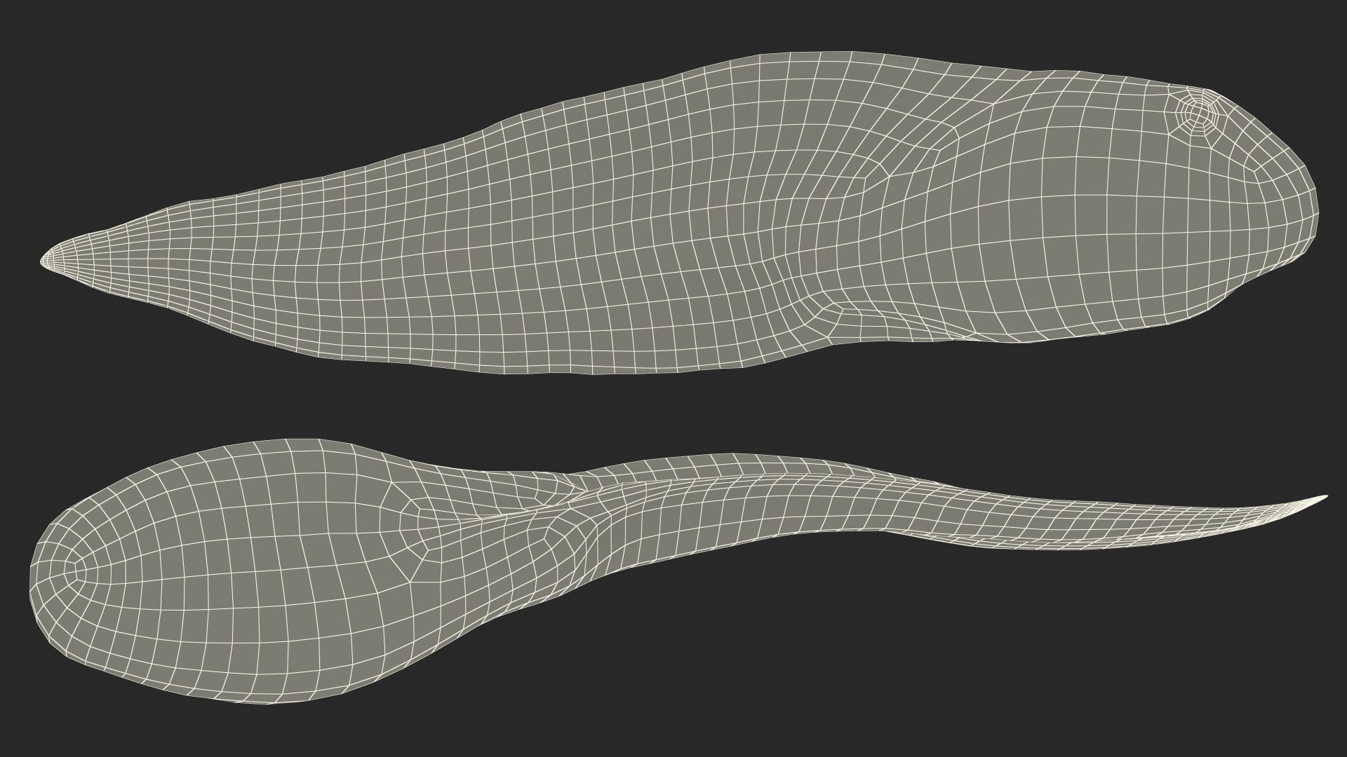 3D Tadpole Rigged For Modo Model - TurboSquid 1717900
