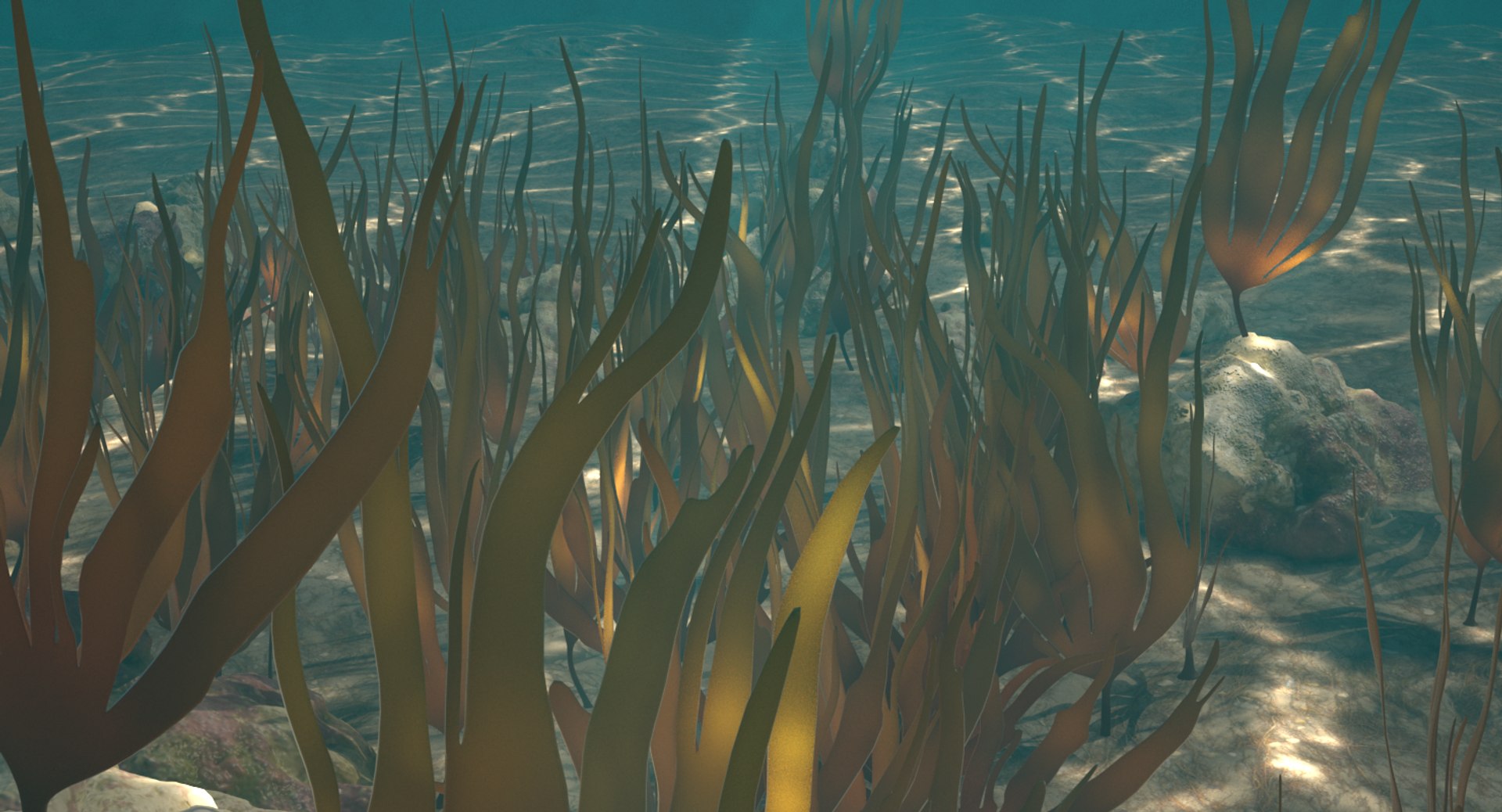 3D Model Sea Floor - TurboSquid 1337468
