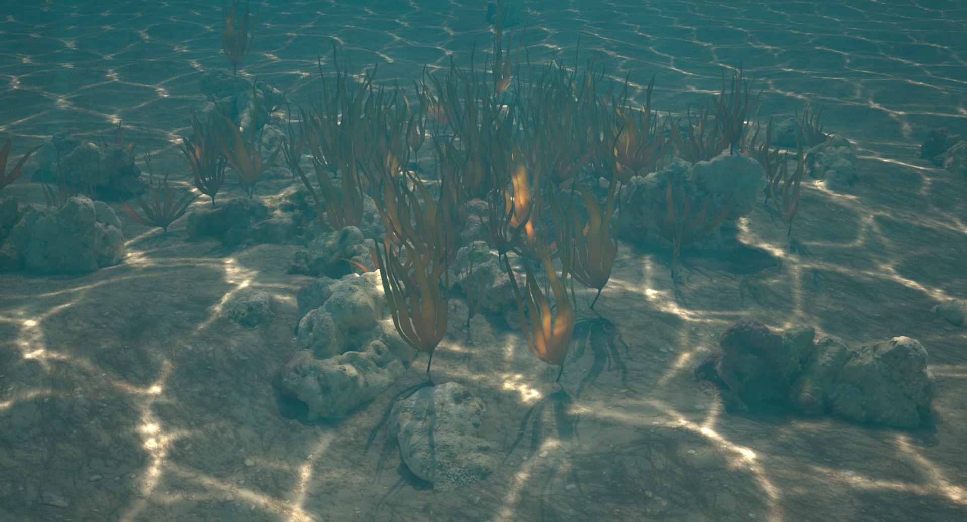 3D Model Sea Floor - TurboSquid 1337468