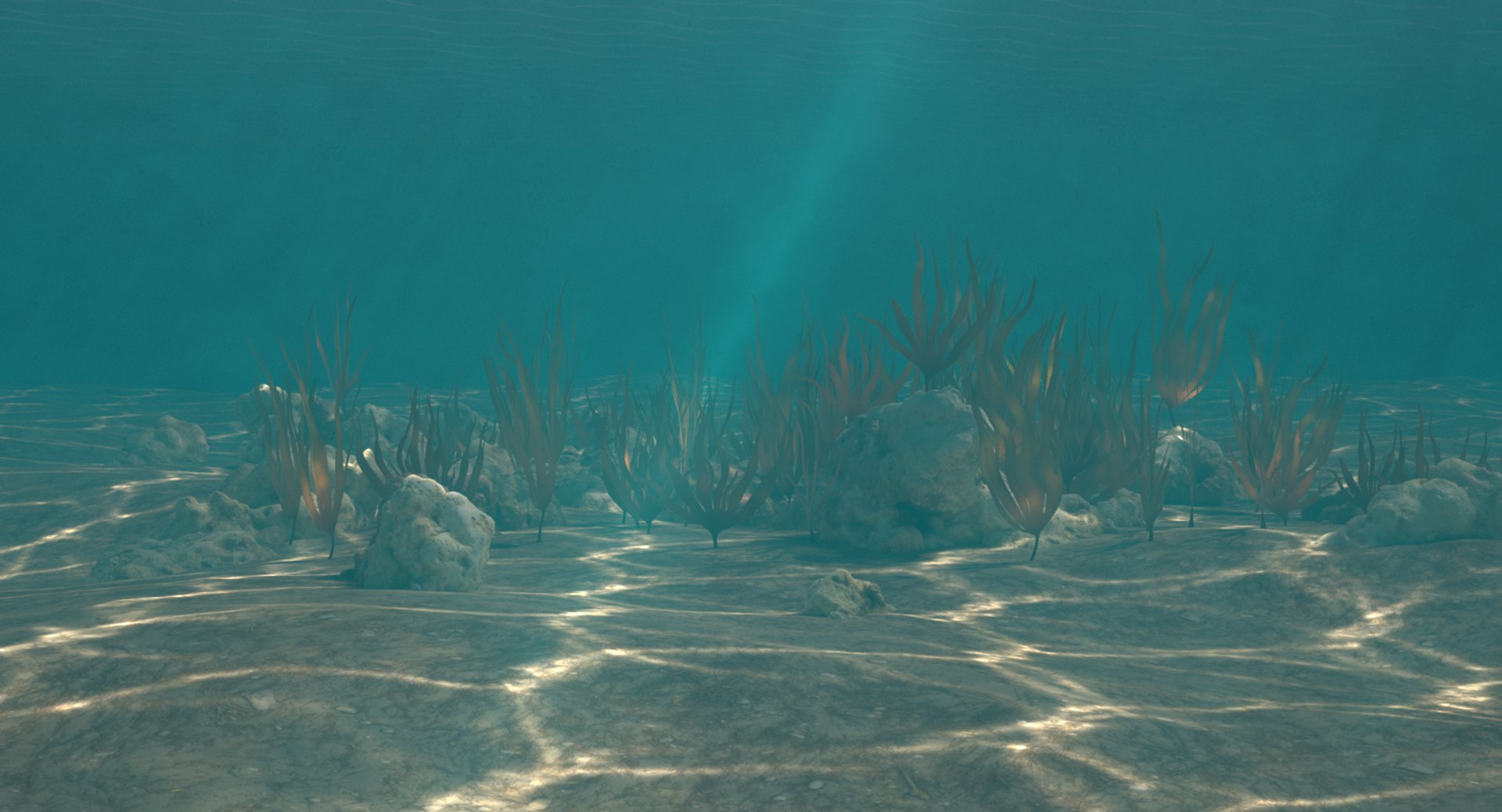 3D Model Sea Floor - TurboSquid 1337468