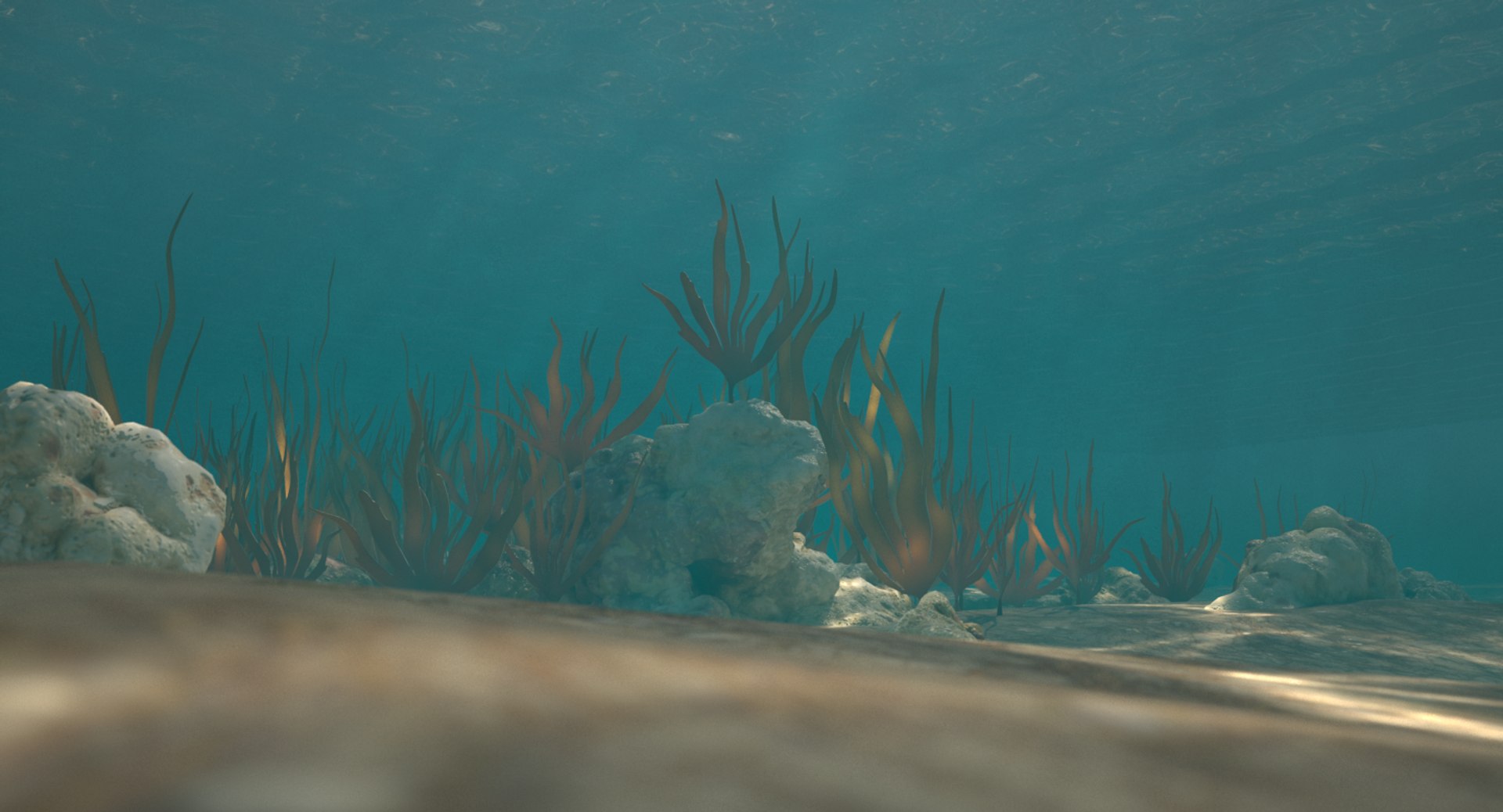 3D Model Sea Floor - TurboSquid 1337468