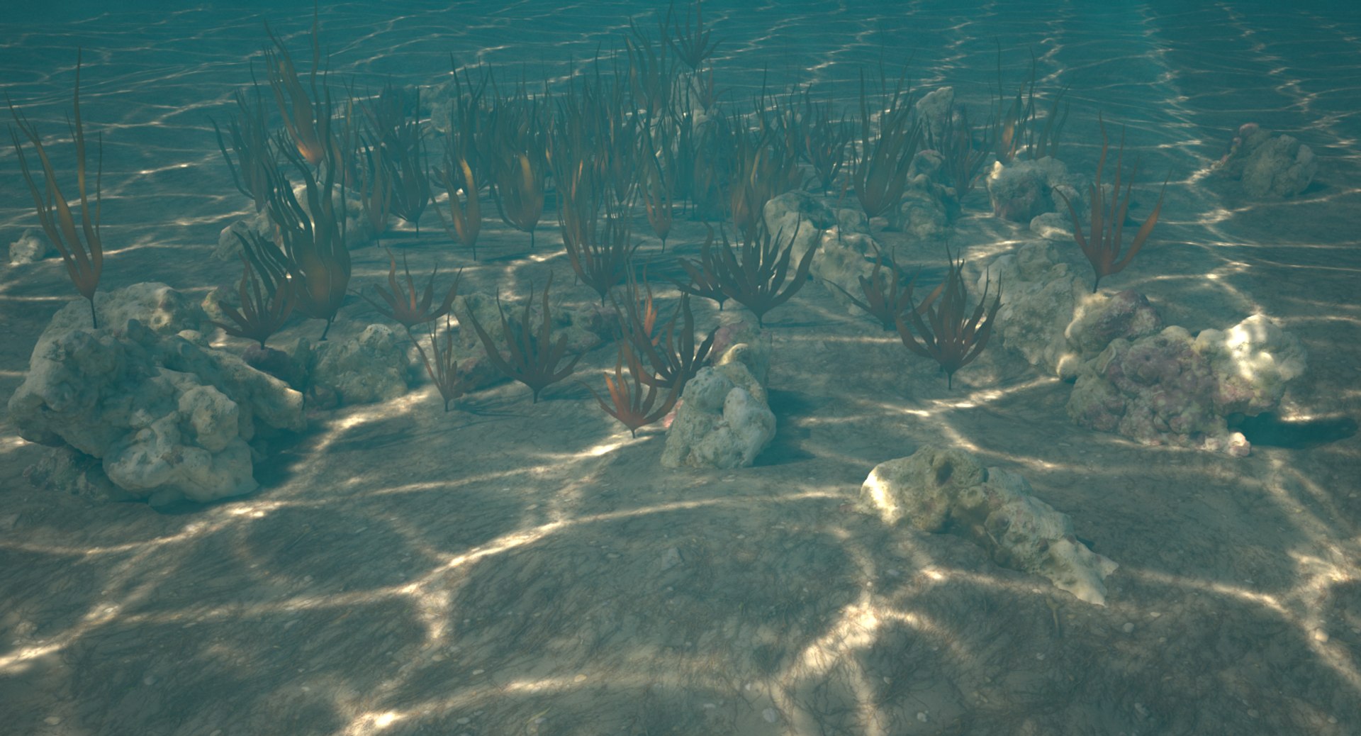 3D Model Sea Floor - TurboSquid 1337468