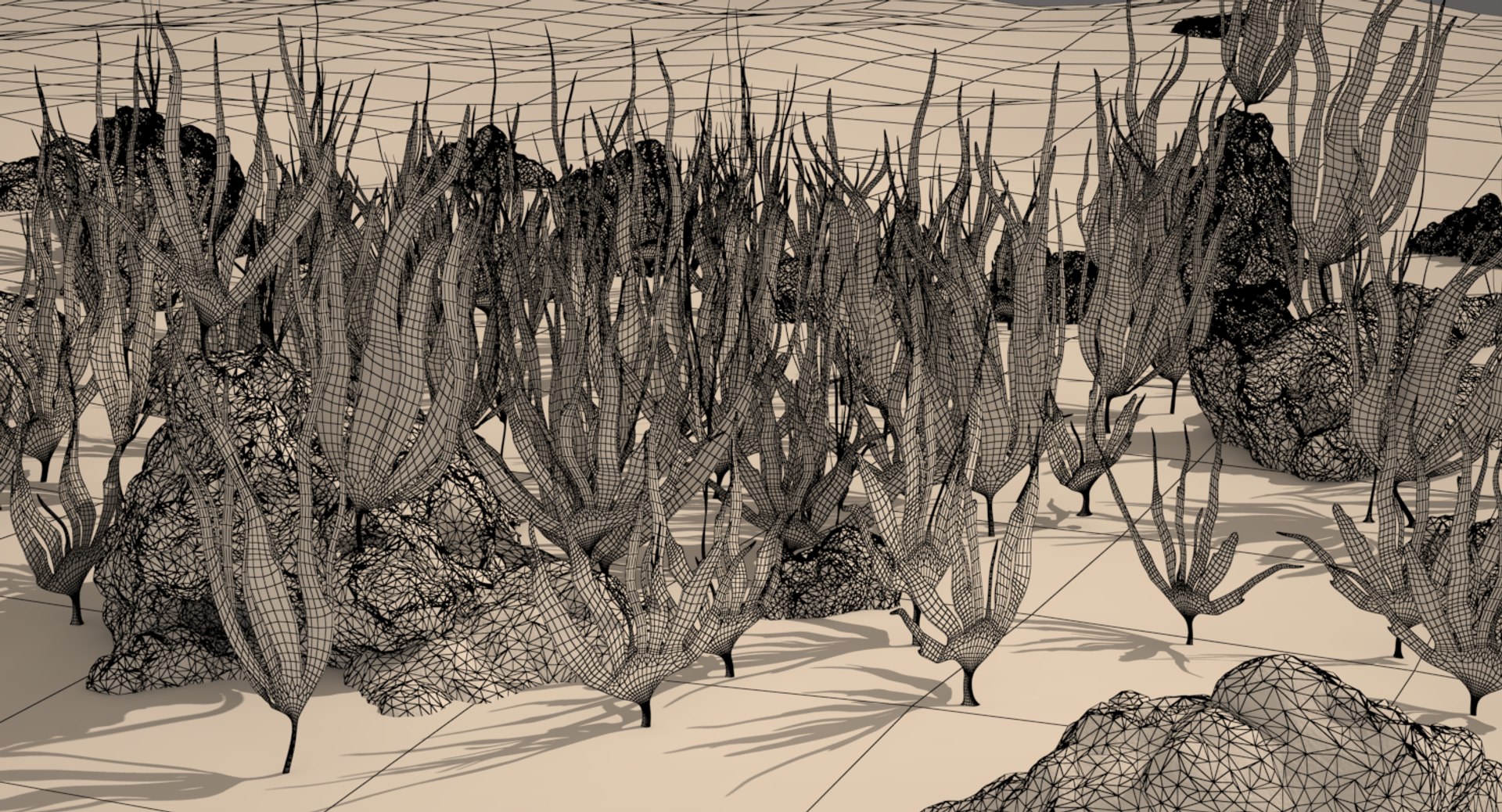 3D Model Sea Floor - TurboSquid 1337468