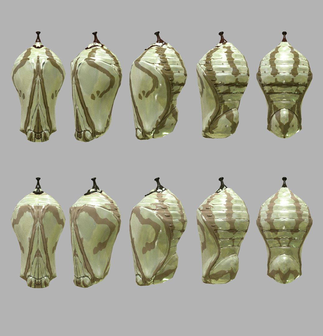 Pupa insect cocoon 3D model - TurboSquid 1625565