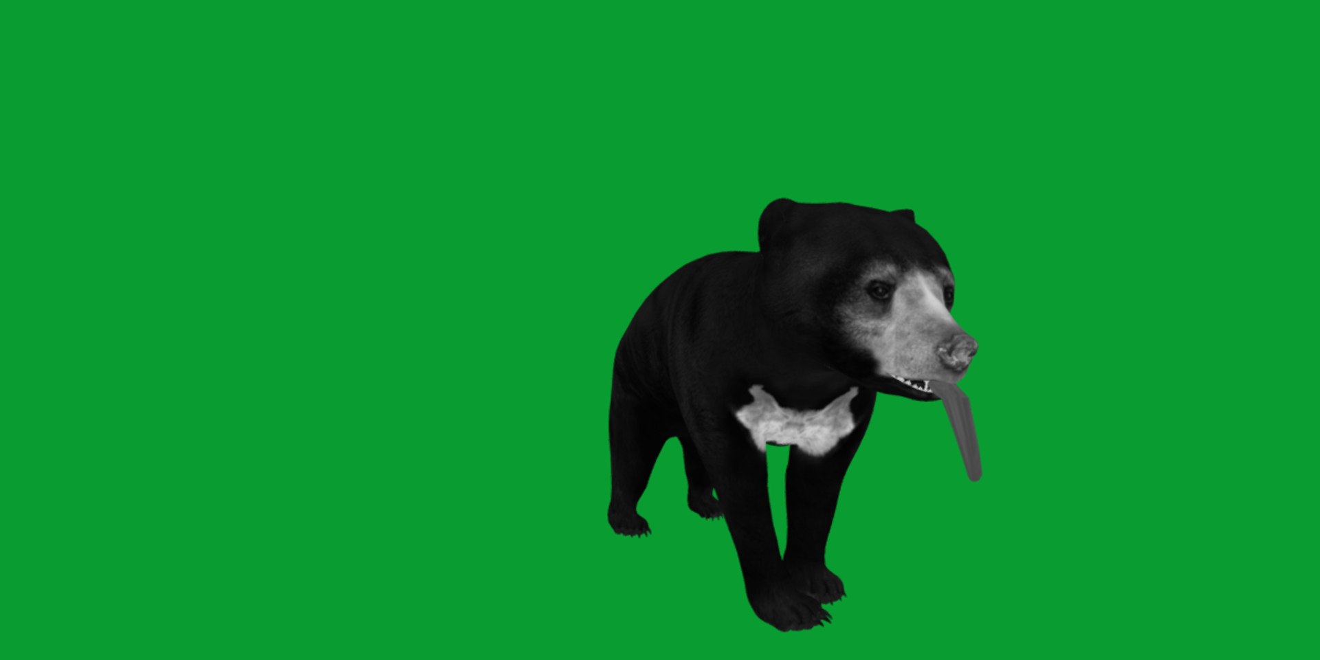 Sun Bear 3D Model - TurboSquid 2349087