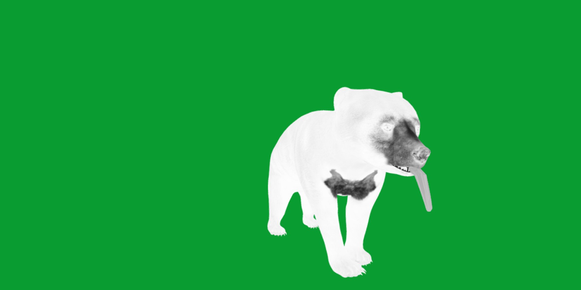 Sun Bear 3D Model - TurboSquid 2349087