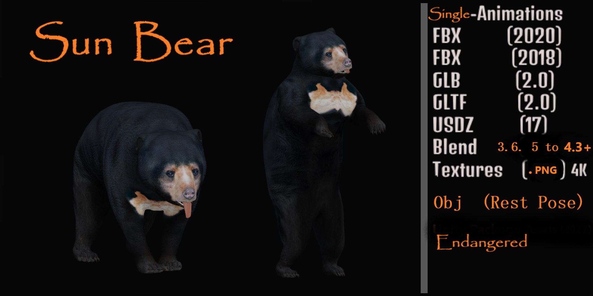 Sun Bear 3D Model - TurboSquid 2349087