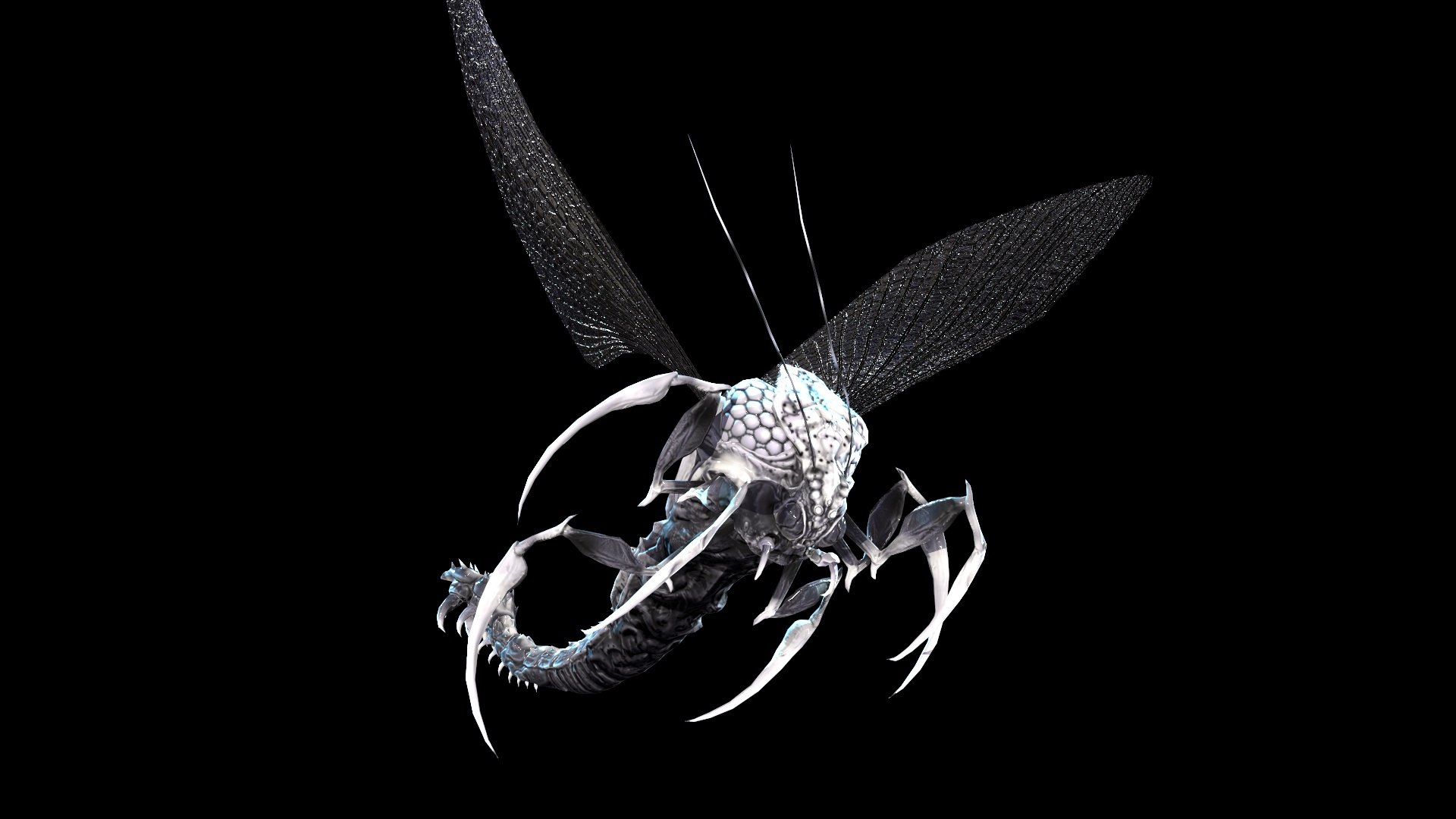 3D Flying Bug 10 - TurboSquid 1721511