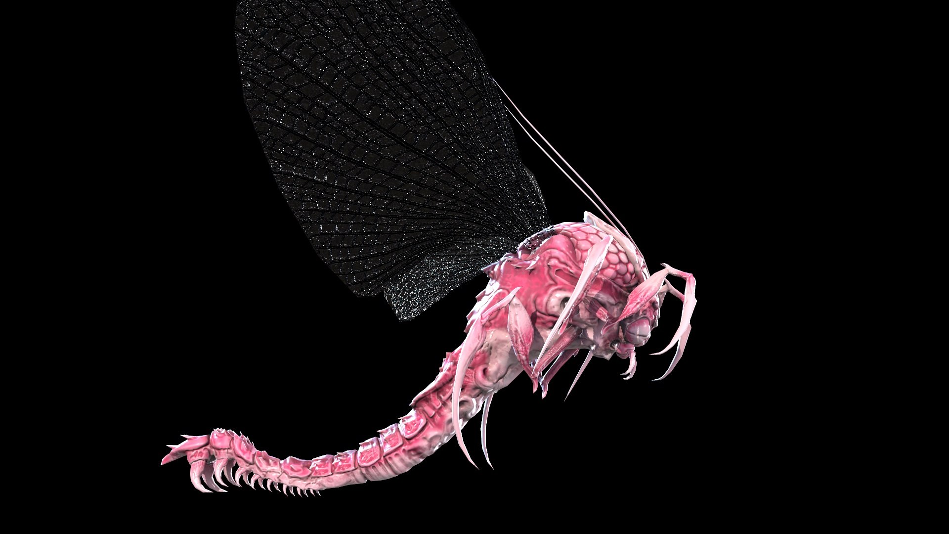 3D Flying Bug 10 - TurboSquid 1721511