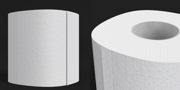 Toilet paper 2 3D model - TurboSquid 1650494