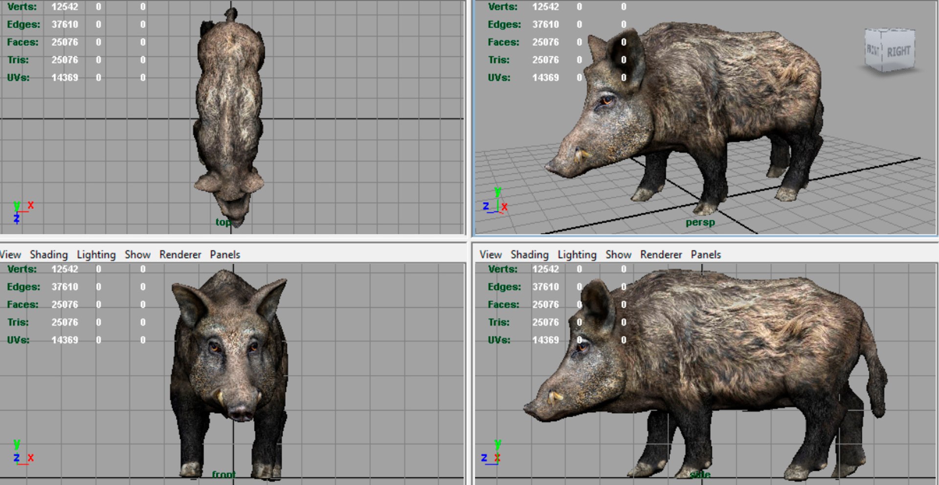 3D Wild Boar - TurboSquid 1170054
