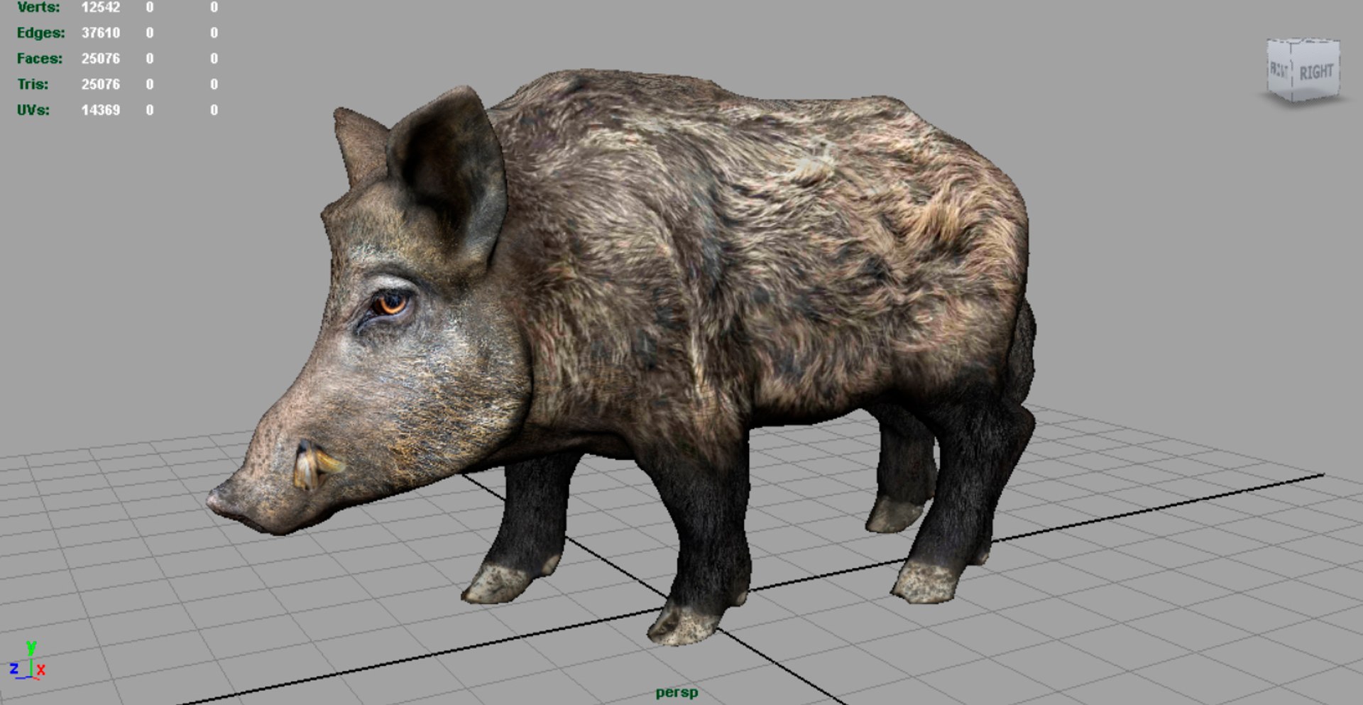 3D Wild Boar - TurboSquid 1170054