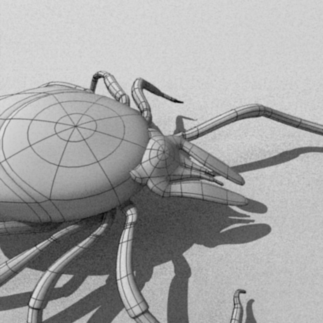 3d Model Tick