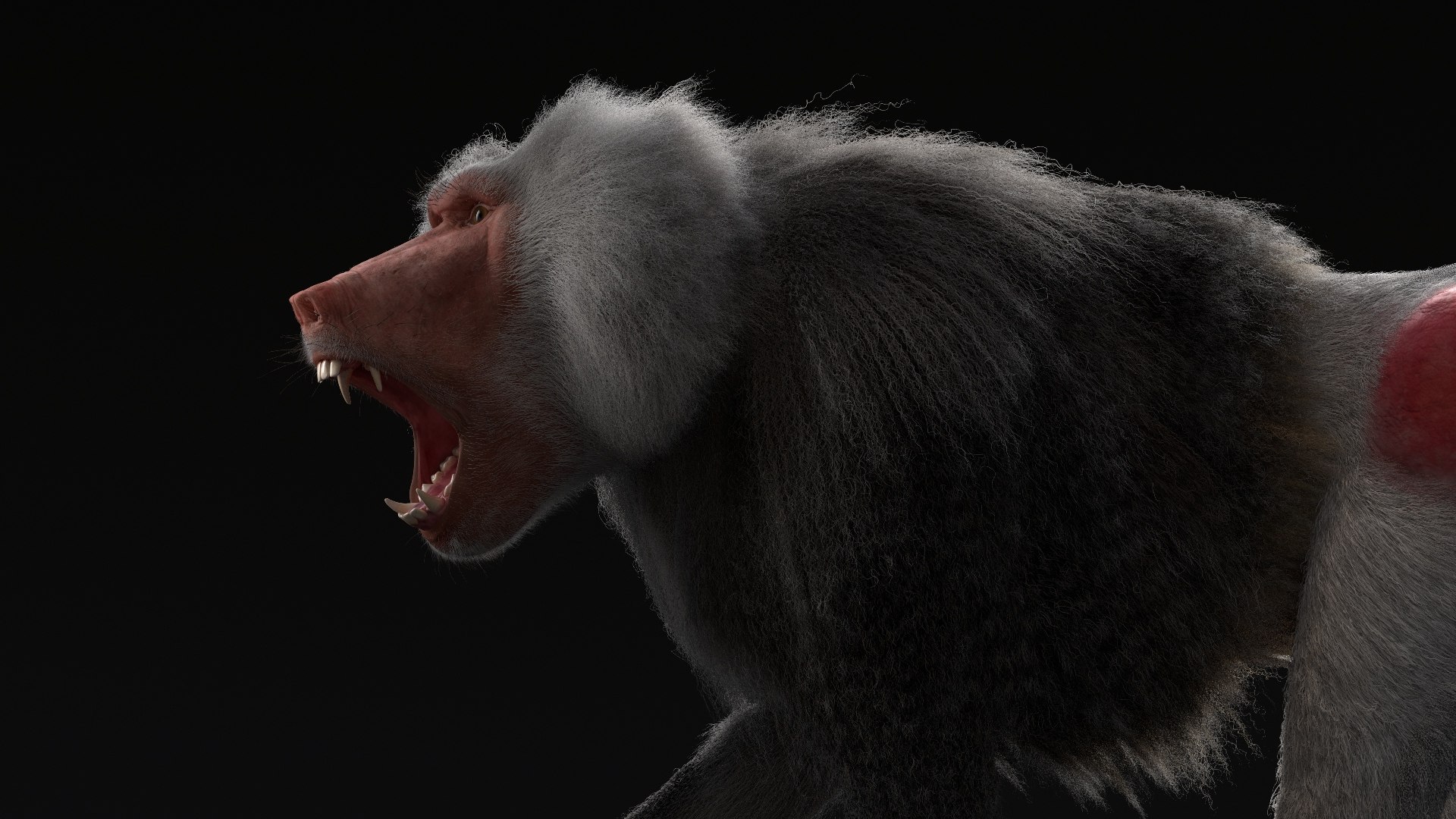 3D Realistic Rigged Baboon Animation Model - TurboSquid 1510462