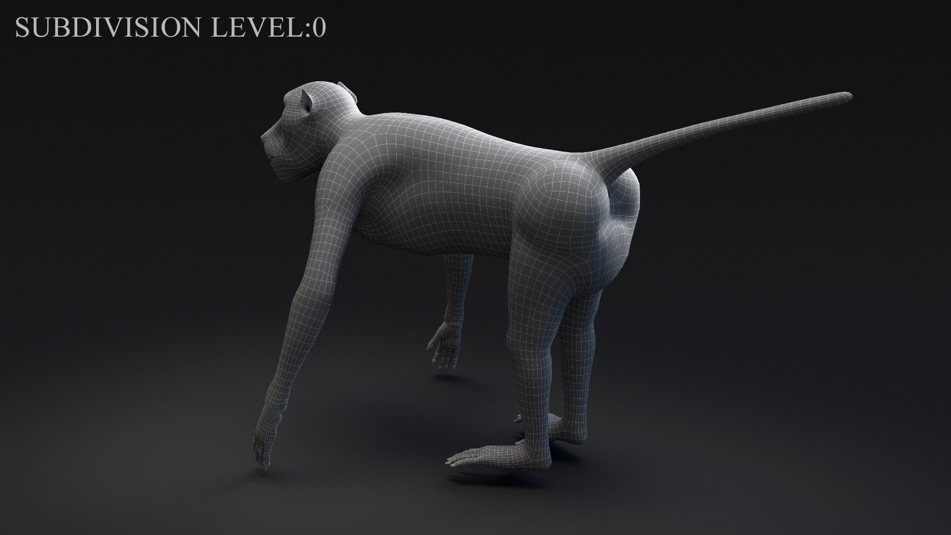 3D Realistic Rigged Baboon Animation Model - TurboSquid 1510462